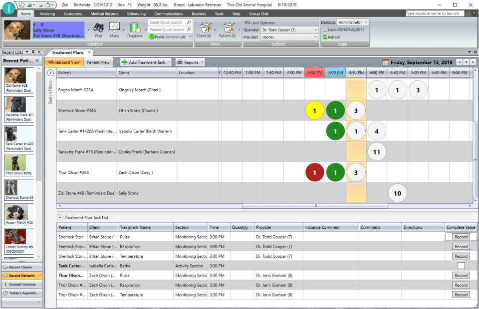 11 Veterinary Practice Management Software To Have in 2021