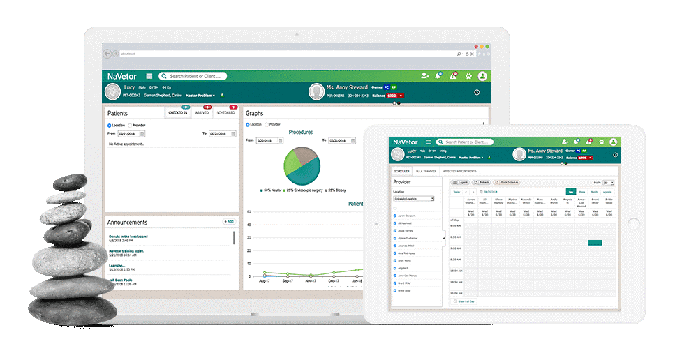 11 Veterinary Practice Management Software To Have in 2021